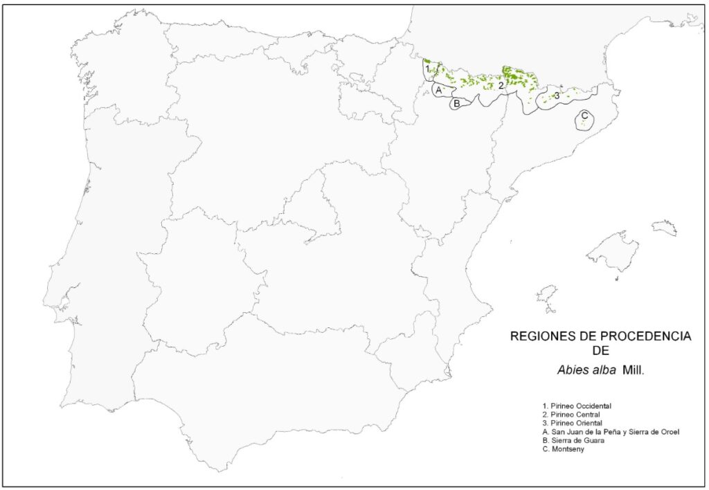 D_Aalba – Especies Forestales de España